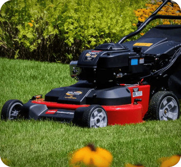 Custom Packaging & Labeling | Digital Print Solutions | Taylor